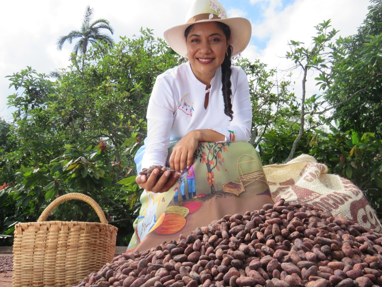El cacao, alternativa para reemplazar los cultivos ilícitos | Cambio ...