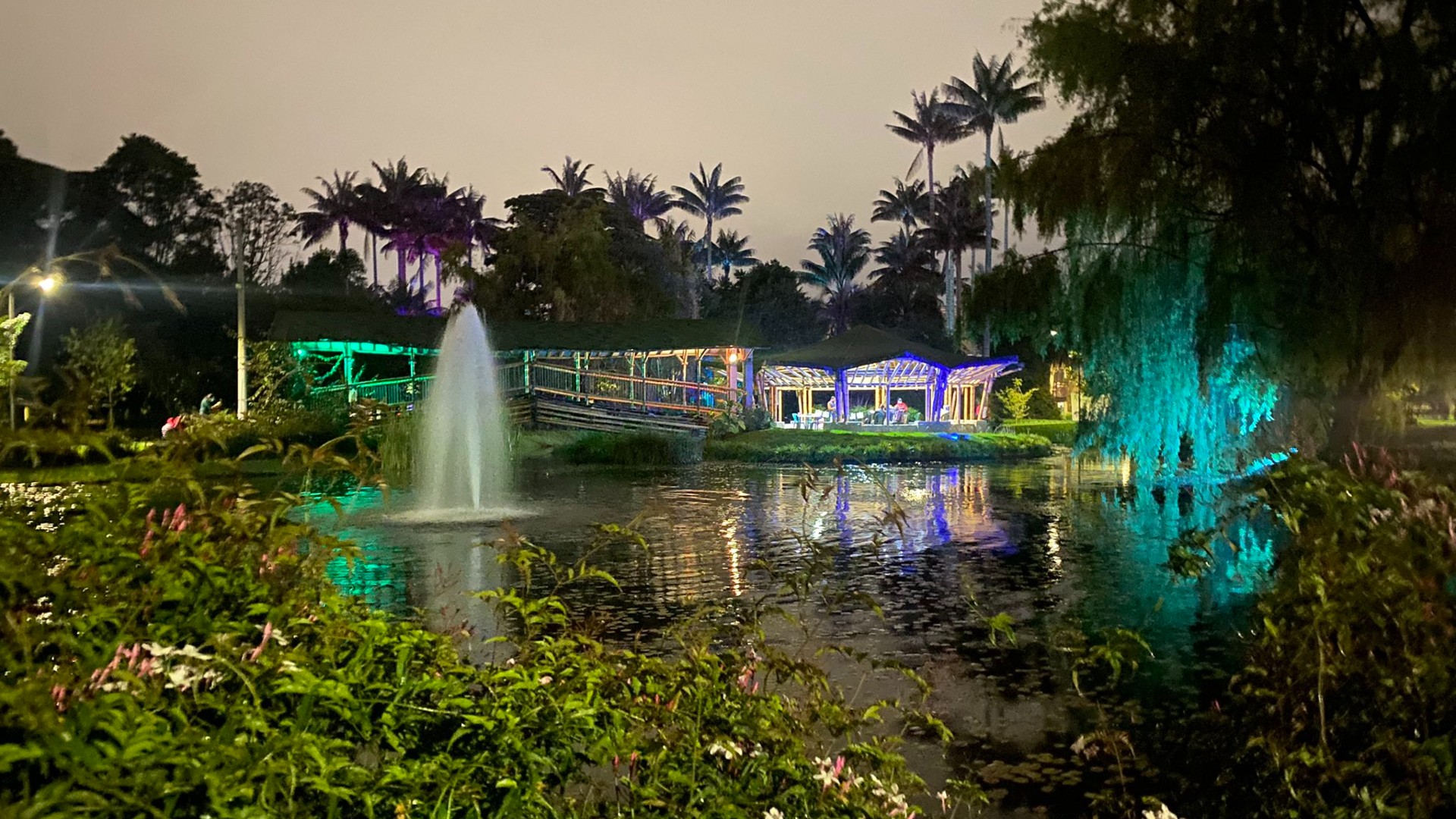 Noche cultural en el Jardín Botánico de Bogotá este viernes: ¿de qué se trata? | Cambio Colombia