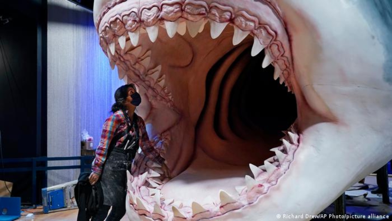 Estudio destroza el mito más popular sobre el megalodón | Cambio Colombia