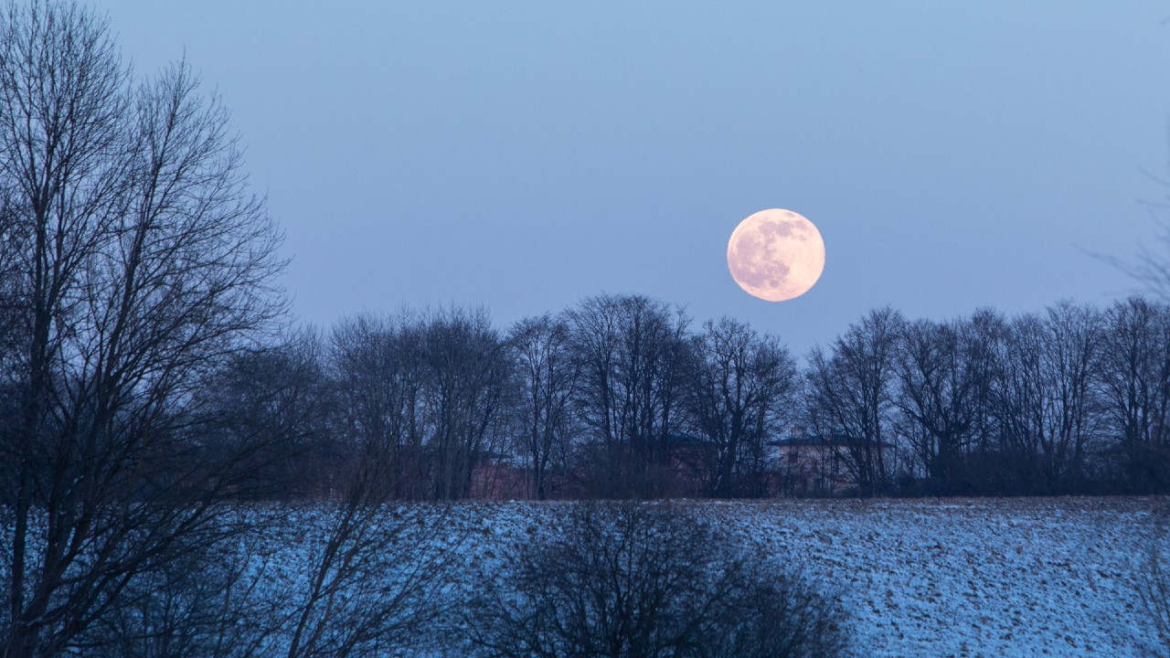 Luna Fría: ¿qué significa y cuándo podrás observarla en diciembre de 2024?