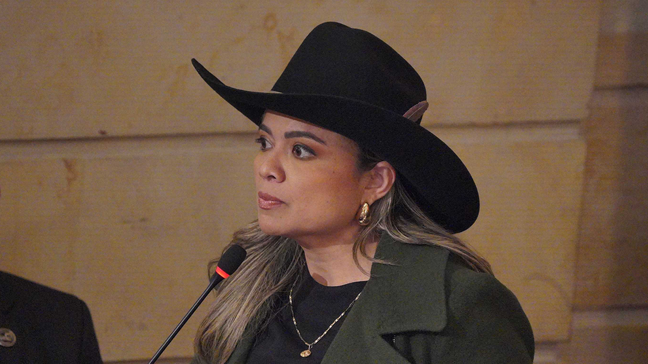 Ella es Lina María Garrido, la congresista que arremetió contra el gobierno de Petro durante ...